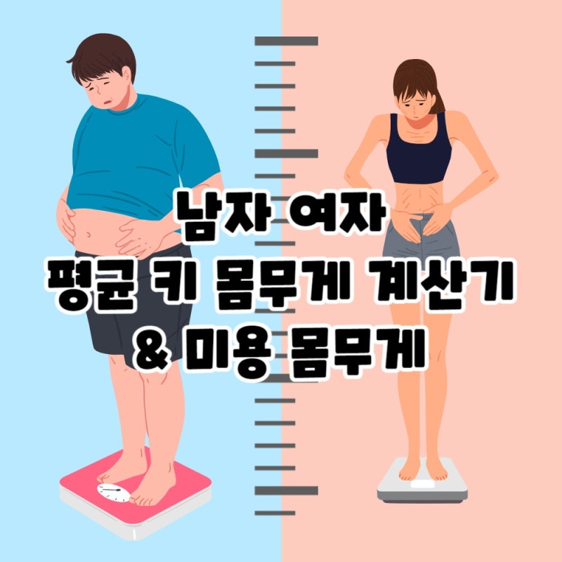 2024 Ver 남자 여자 평균 키 몸무게 계산기 미용 몸무게키별 체중 네이버 블로그